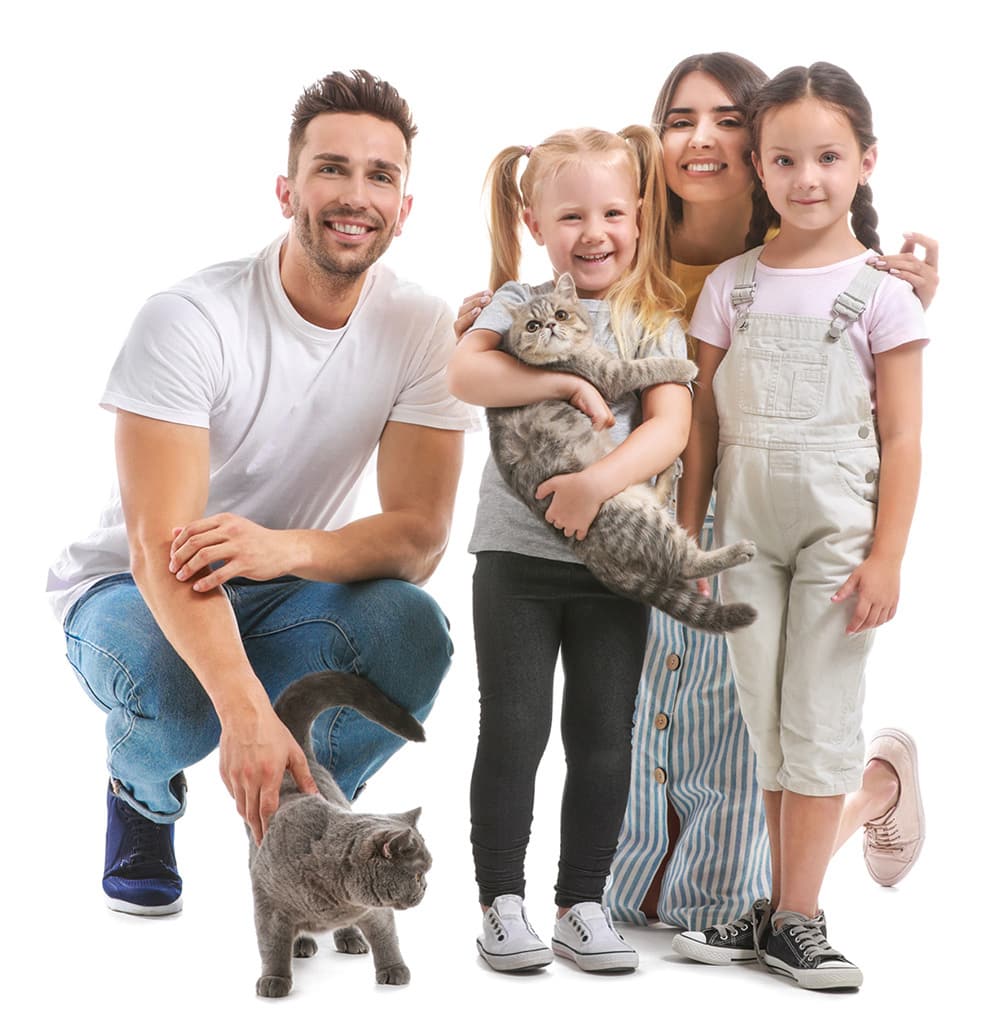 5' Tower - Lone Star Structures